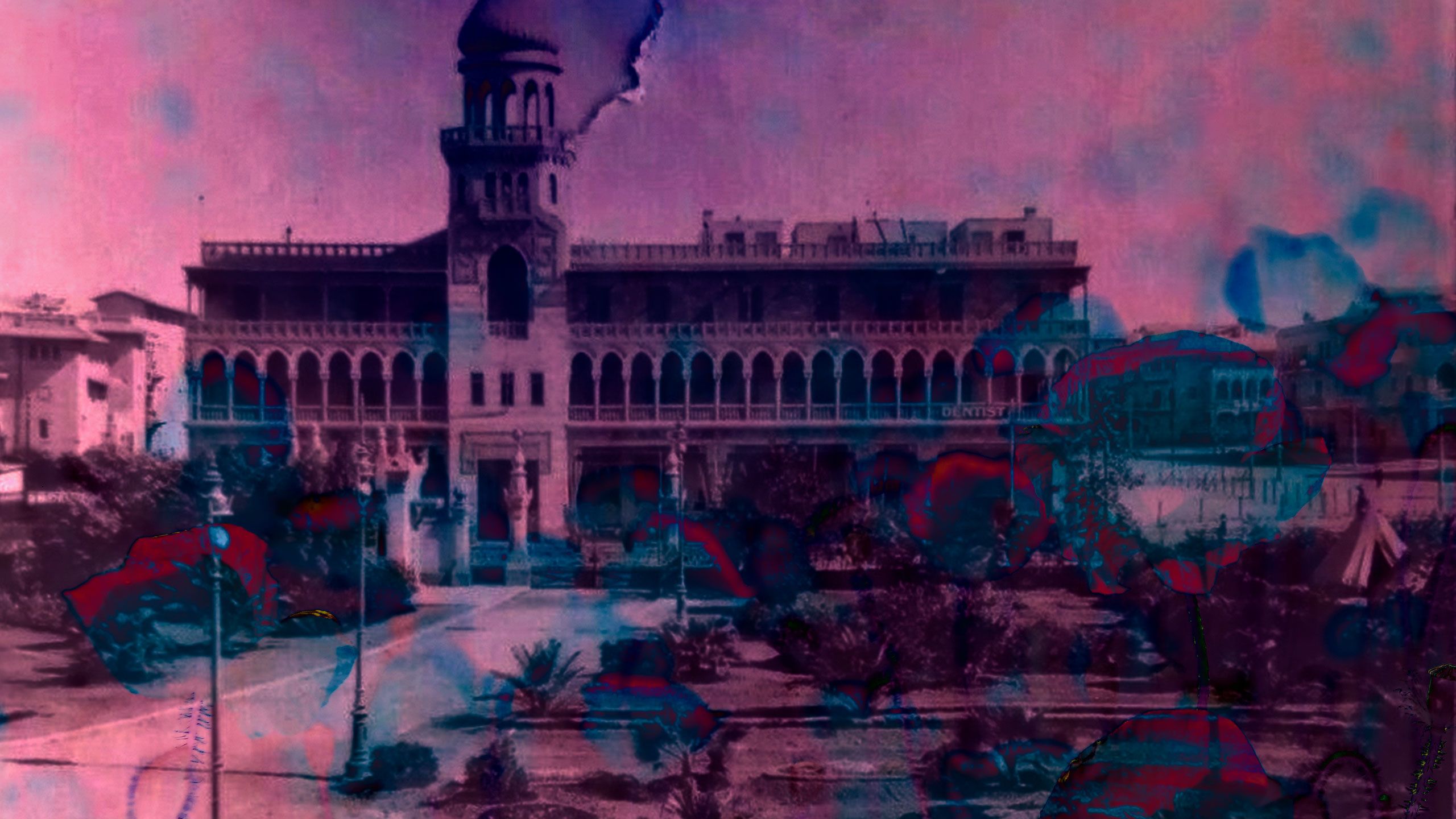 The WWI diary of Alice Ross-King – On the Record